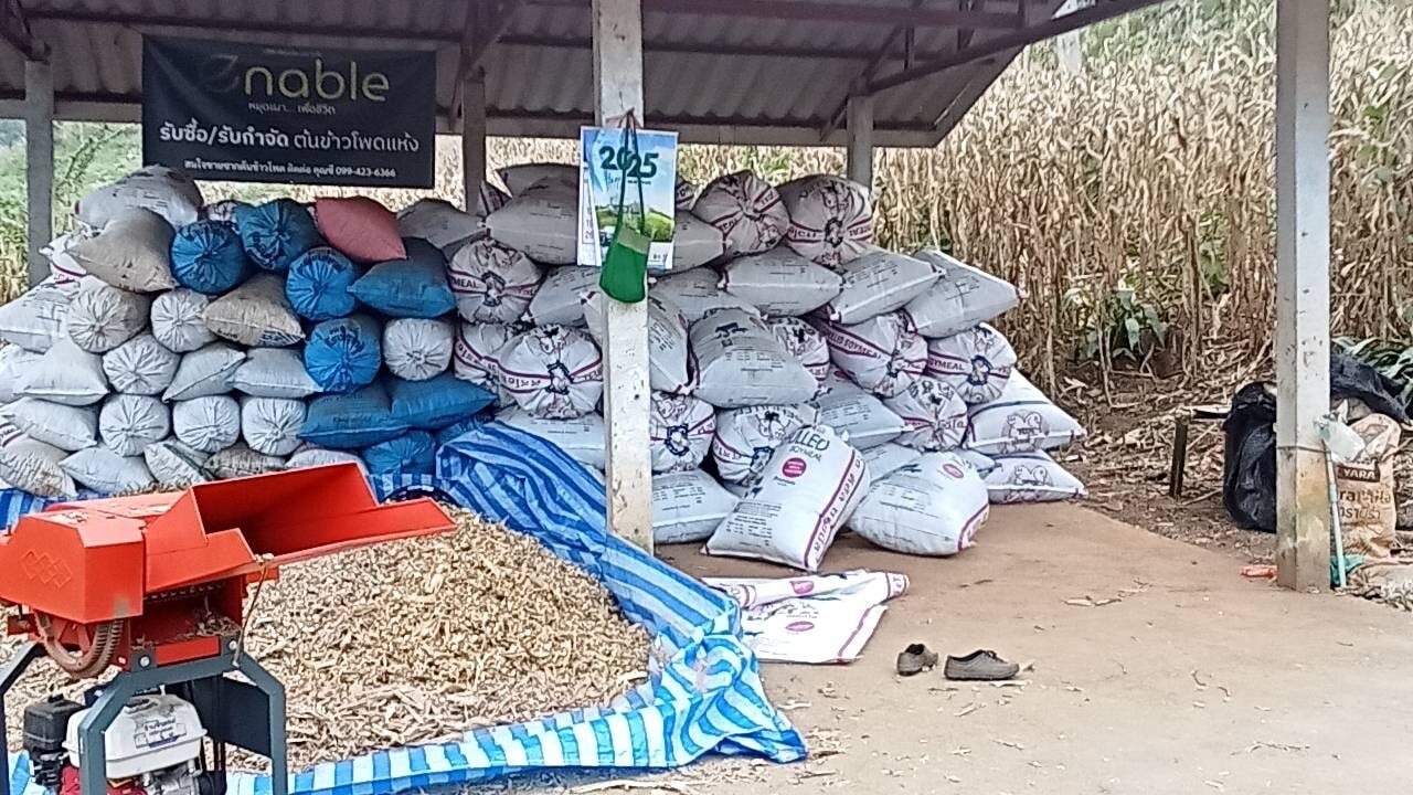 Accend projects: Enable Earth